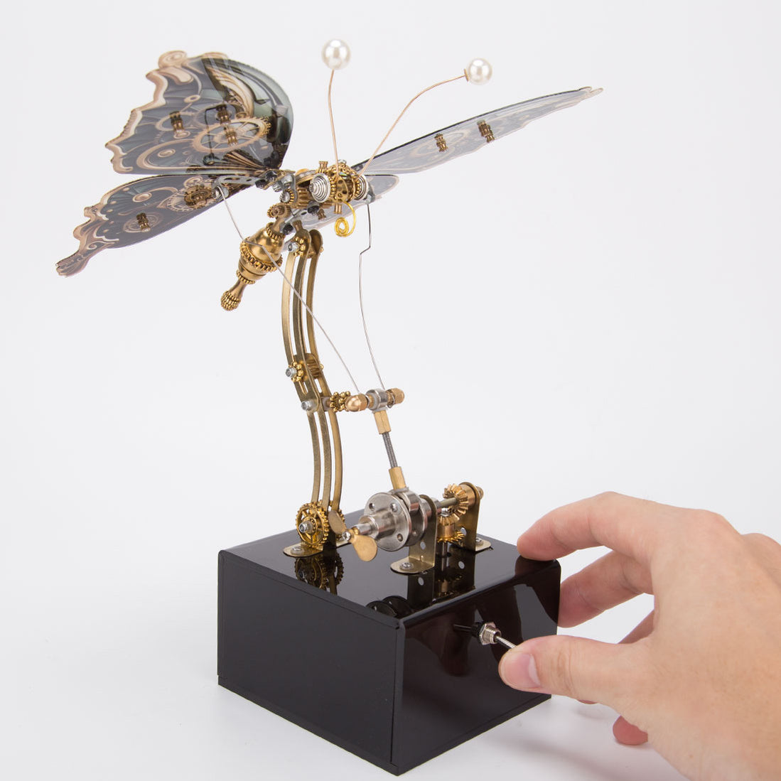 Mechanical 3D DIY Butterfly Metal Model Building Kits with Music Box ...