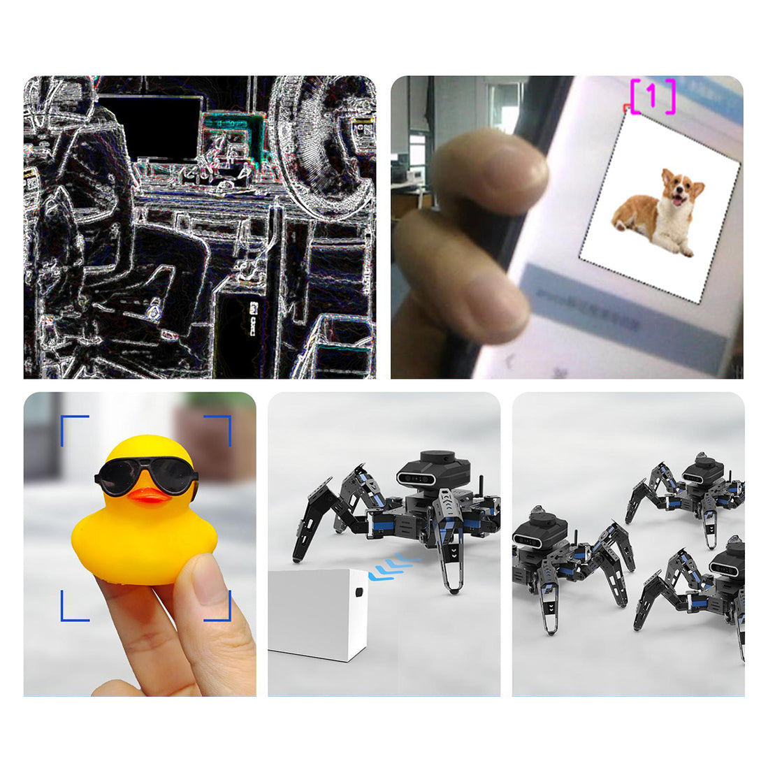 Phage Six-Legged Spider Bionic Metal Robot Programming DIY Intelligent ...