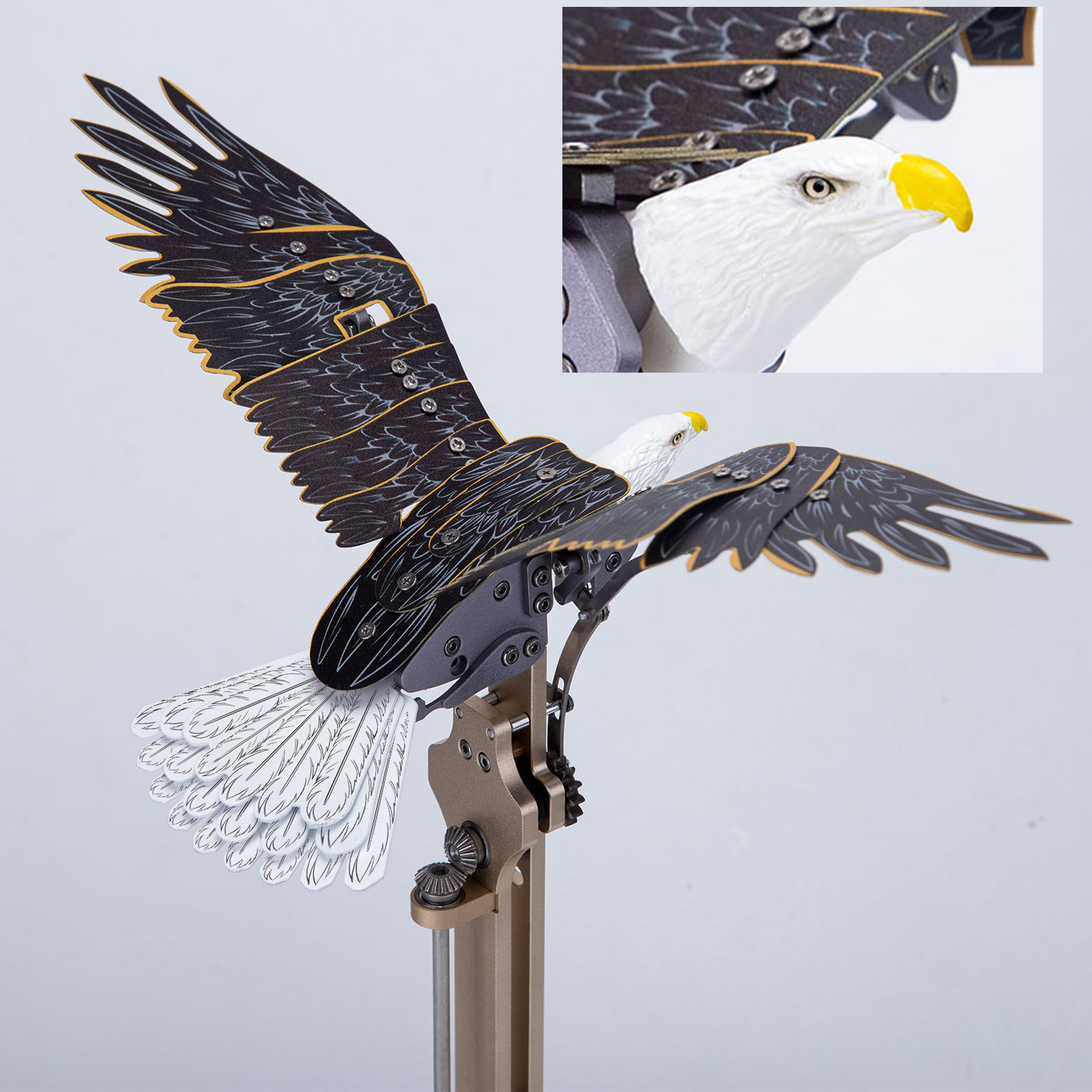 TECHING American Bald Eagle Model Kit with Flying and Flapping Wings ...