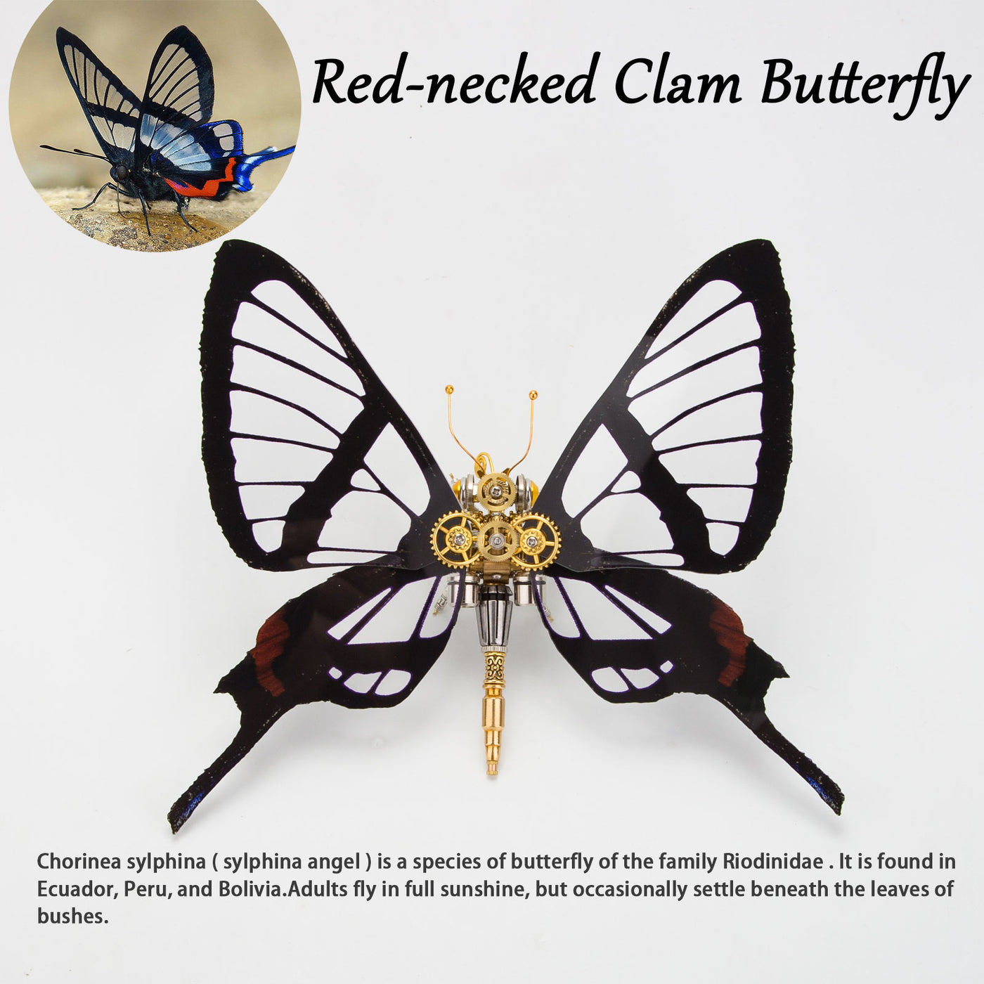 3D Metal Butterfly Model Kit, 2 In 1 Steampunk Luminous Butterfly (200 ...